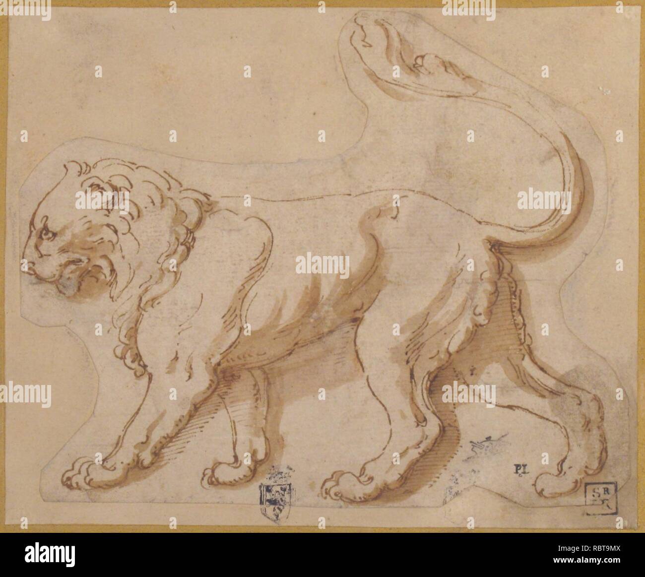 A Lion in Profile Facing to the Left (‘Leo‘ Stock Photo - Alamy