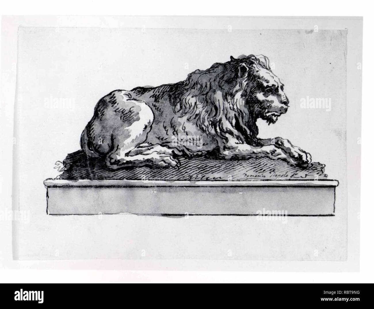Lion right Cut Out Stock Images & Pictures - Alamy