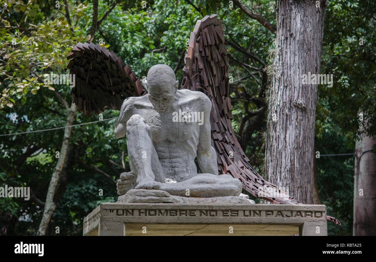 A man is not a bird Stock Photo - Alamy