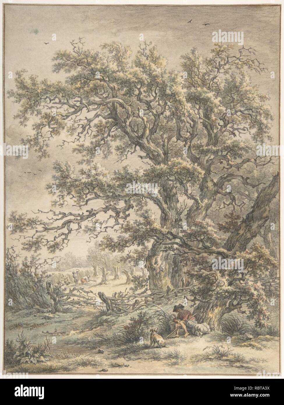 A Man Resting Under a Tree Stock Photo - Alamy