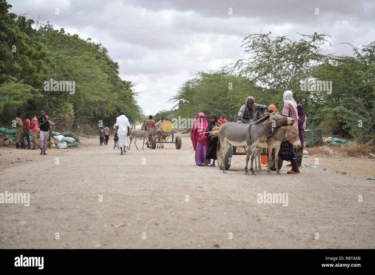 A man sits on his donkey cart next to a water point in Bulo Burte ...
