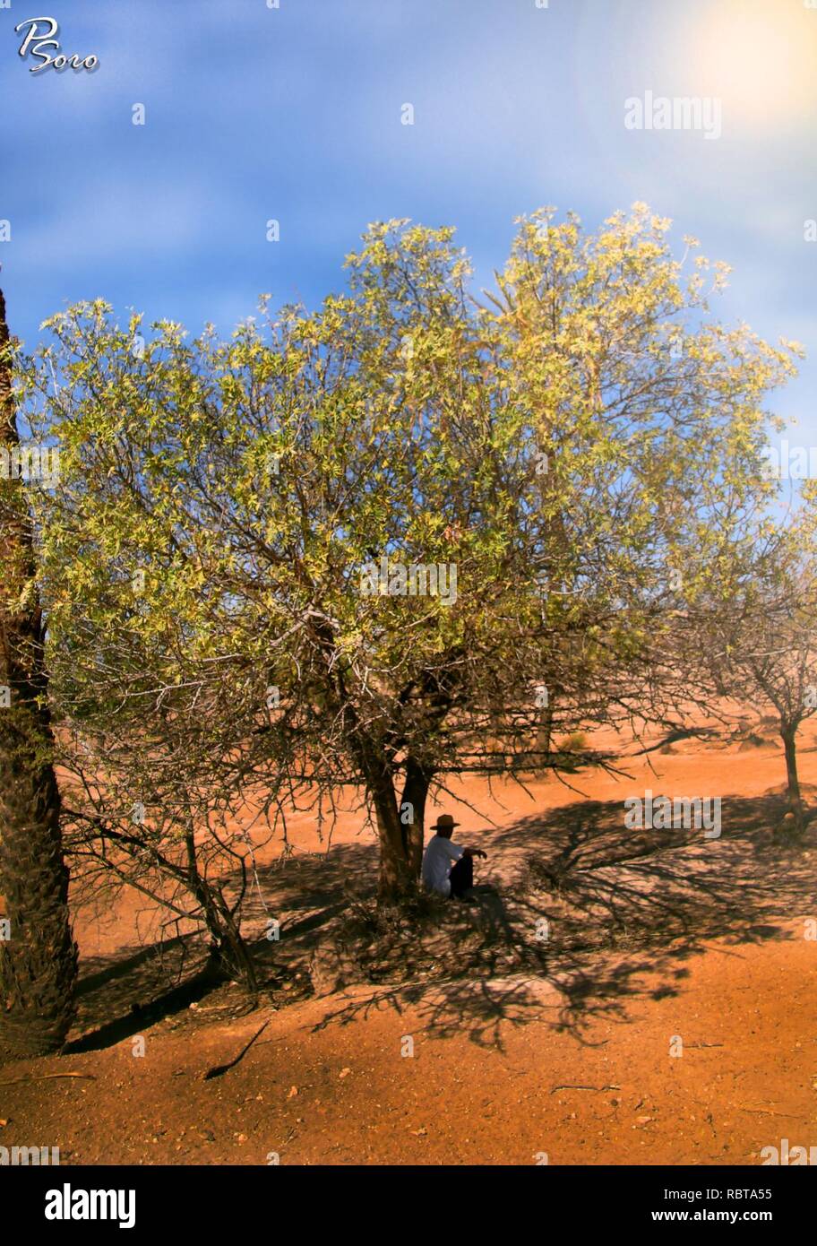 Bhutan and morocco hi-res stock photography and images - Alamy