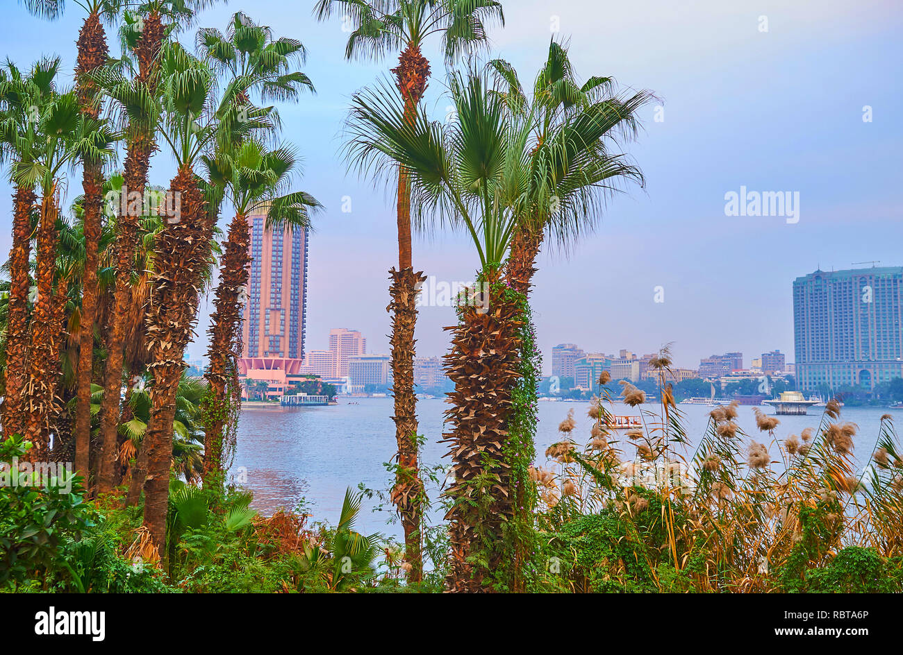 The lush palm garden of Giza riverside neighborhood hides the modern ...