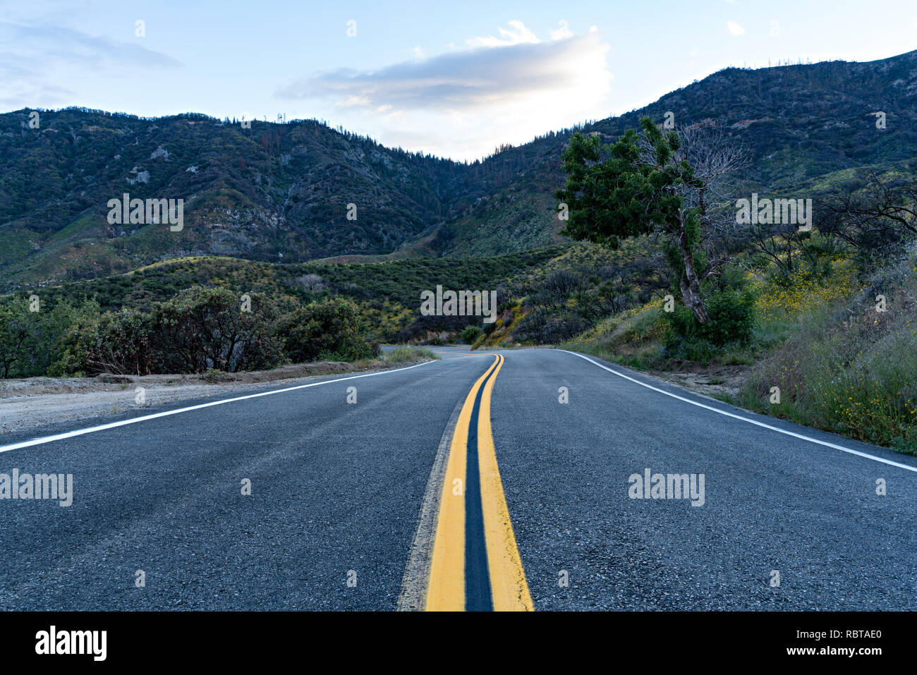 Centerline hi-res stock photography and images - Alamy Centerline hi-res stock photography and images - Alamy