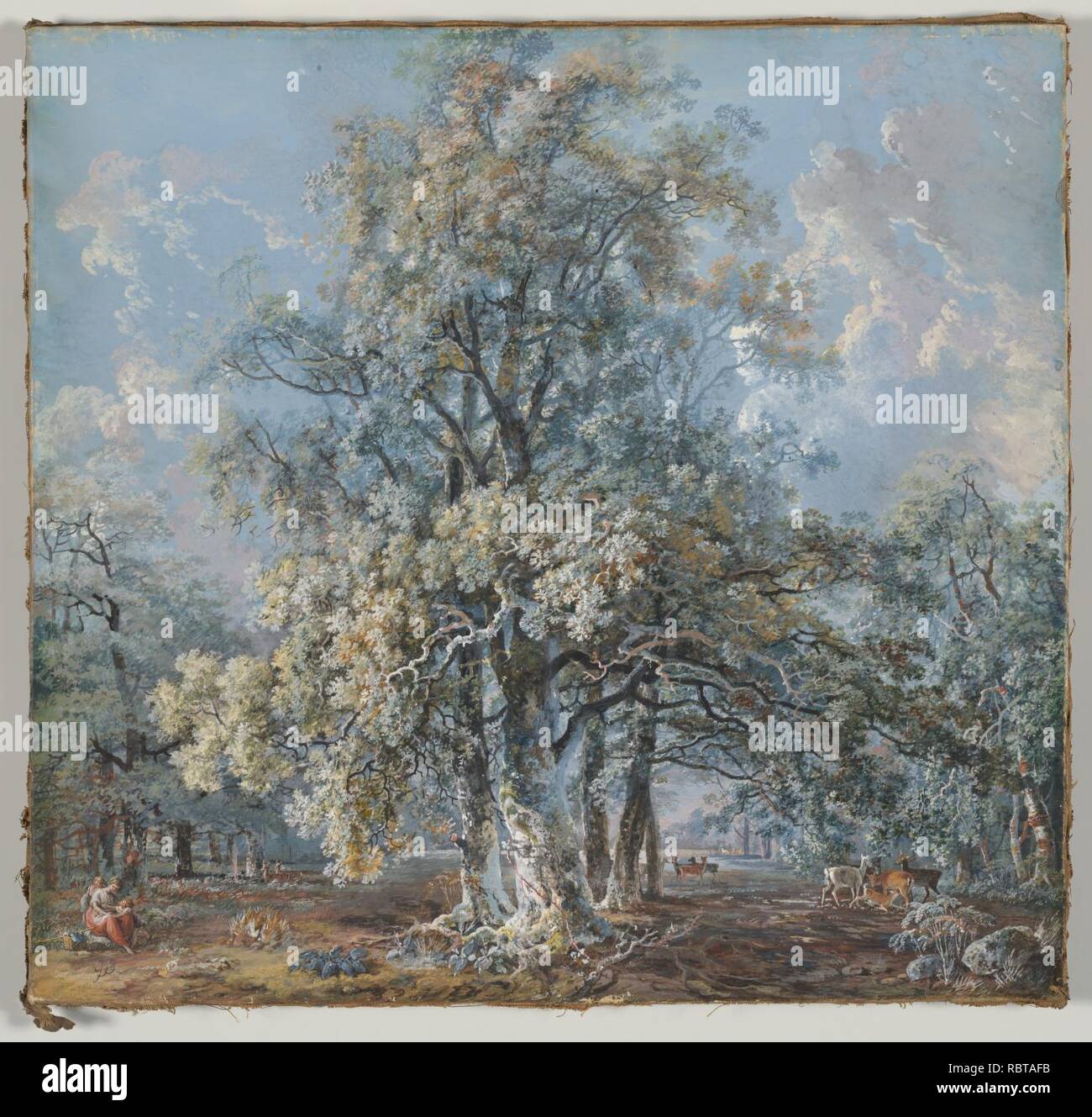 Deer pacing beyond hi-res stock photography and images - Alamy