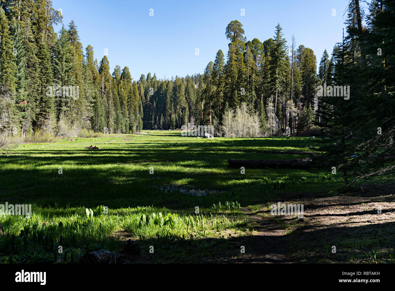 Crescent meadow hi-res stock photography and images - Alamy