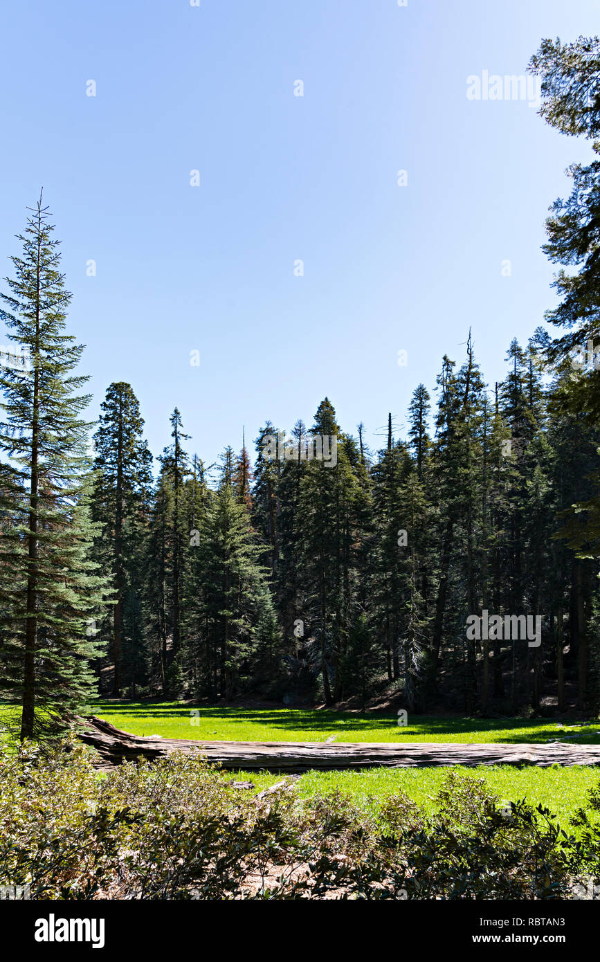 Crescent Meadow vertical Stock Photo - Alamy