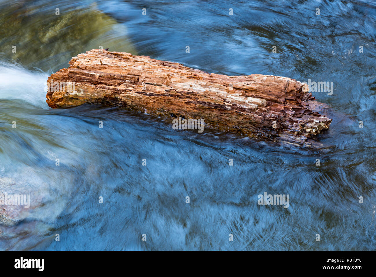 Redwood Log in stream Stock Photo - Alamy