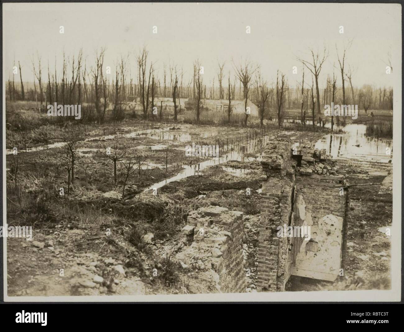 Shell shattered hi-res stock photography and images - Alamy