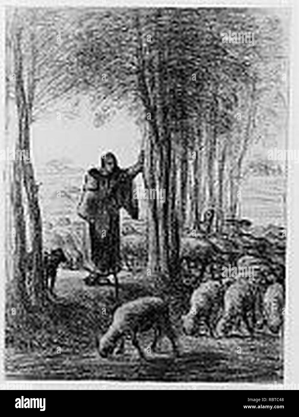 A Shepherdess and Her Flock in the Shade of Trees Stock Photo - Alamy