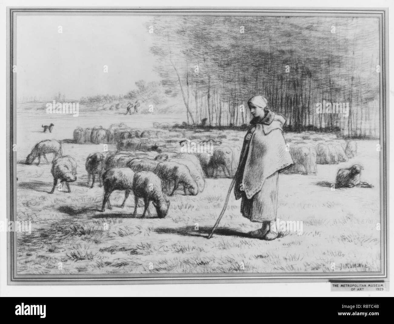 A Shepherdess with Her Flock Stock Photo - Alamy