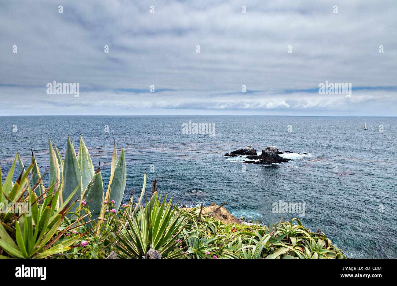 Foreground element rocks hi-res stock photography and images - Alamy