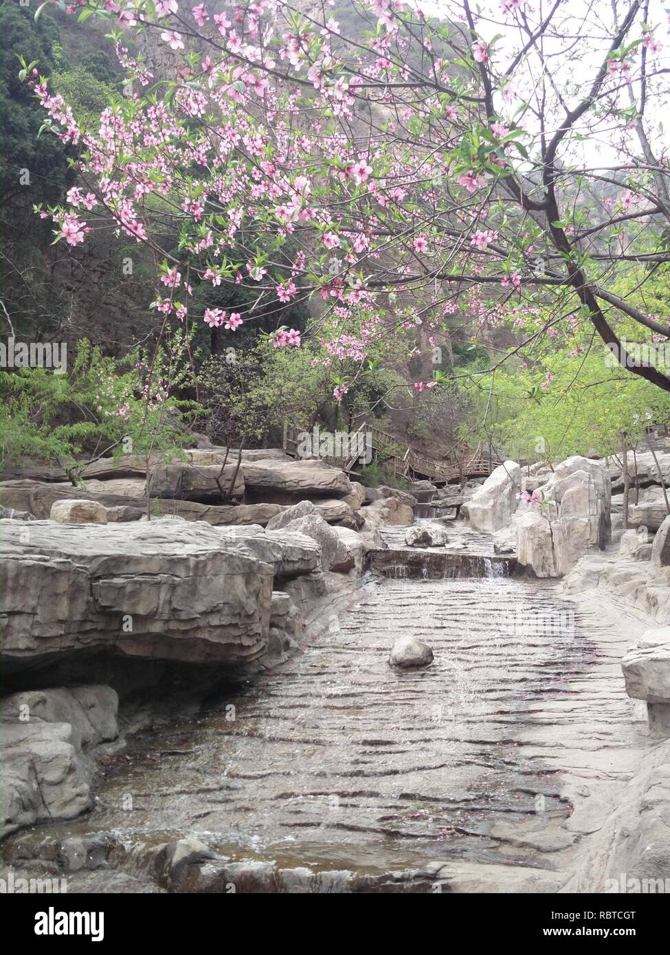 Mount langya hi-res stock photography and images - Alamy