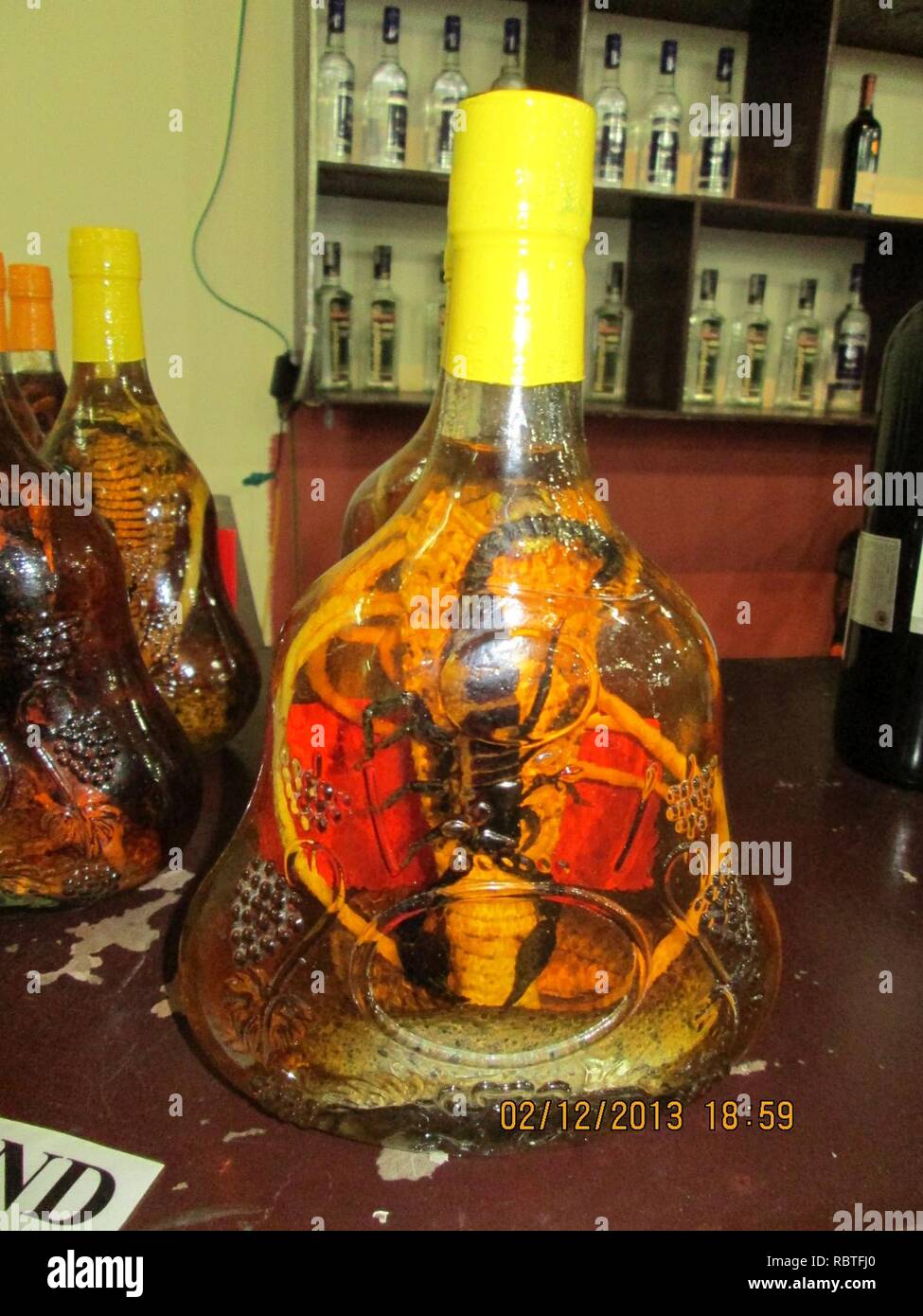 Snake Wine King Cobra
