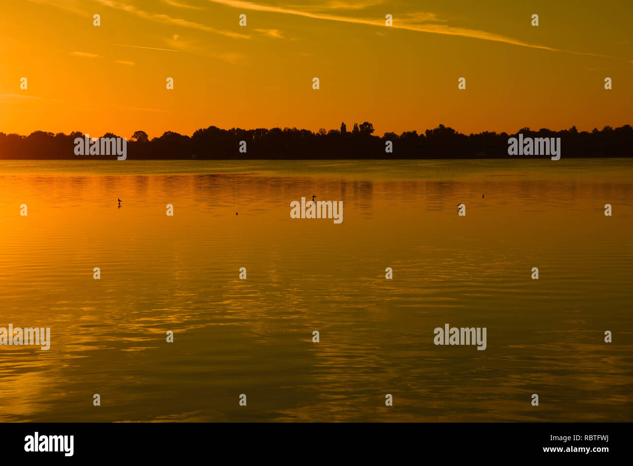 Morning at sea Stock Photo - Alamy