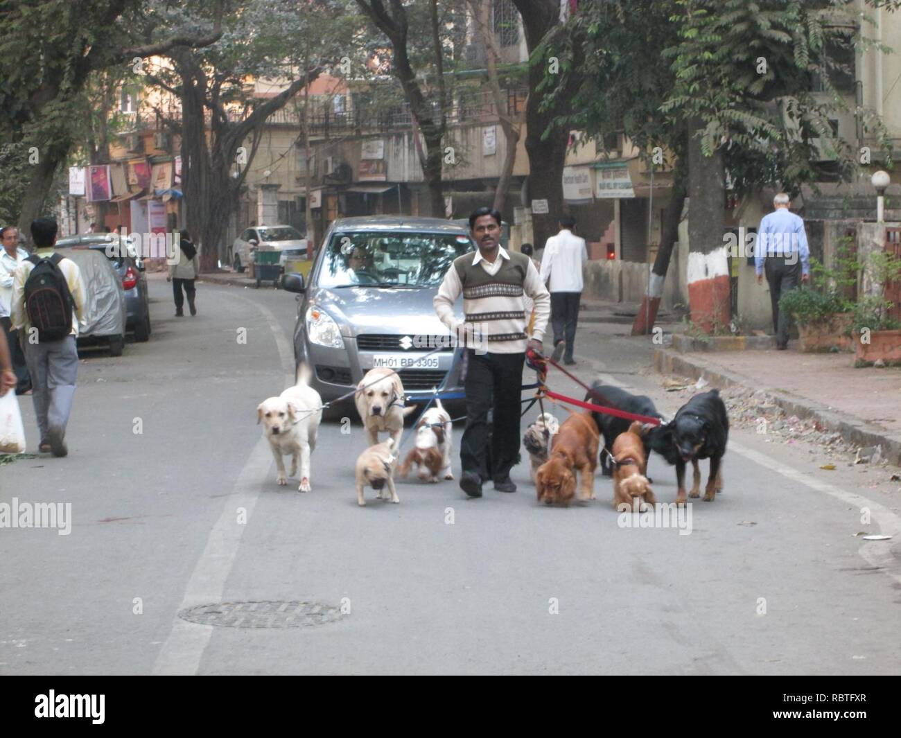 Suresh High Resolution Stock Photography and Images - Alamy
