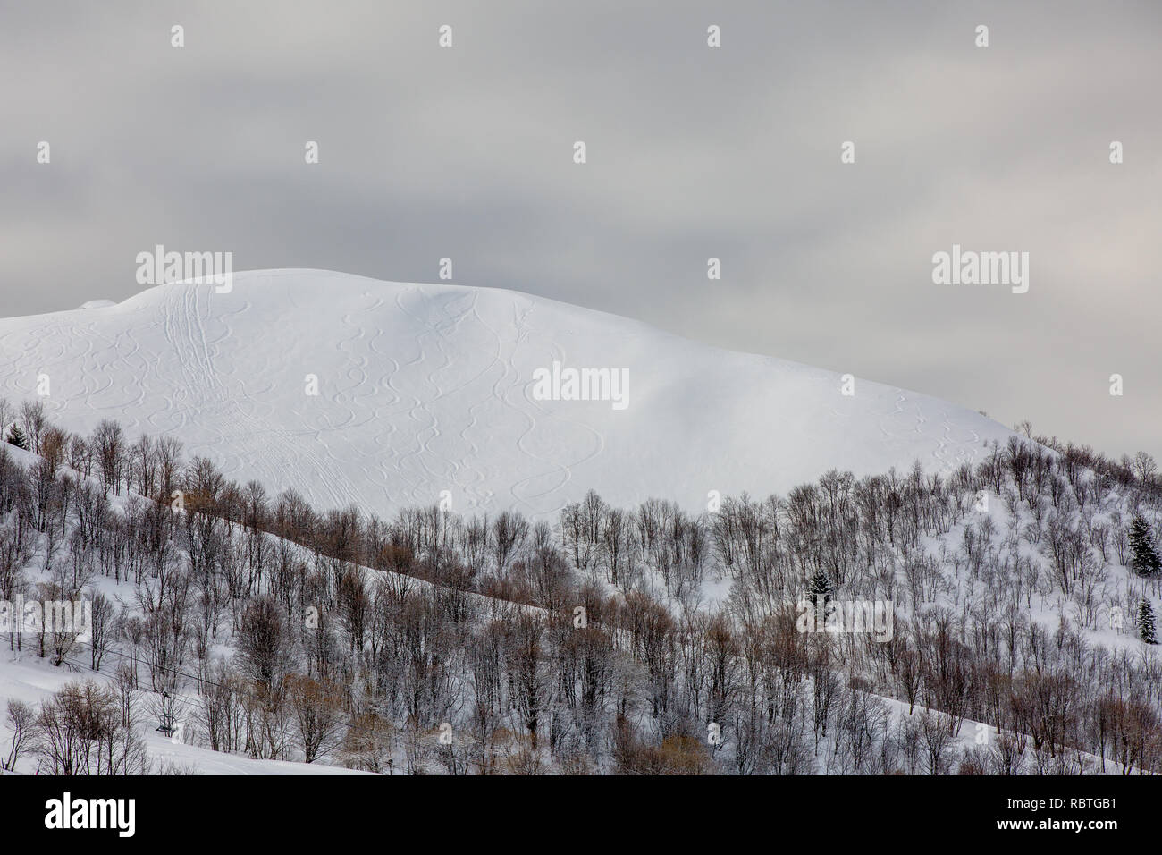 Mountain slope with pathways of skiers Stock Photo - Alamy