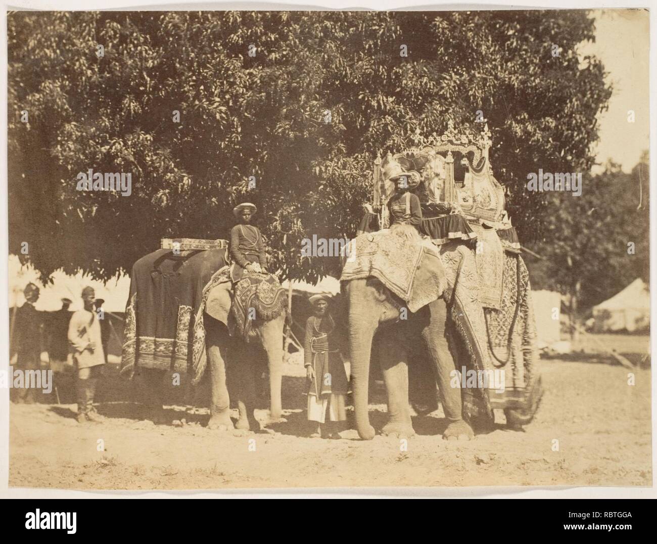 -Governor General's State Elephant and Silver Howdah Stock Photo - Alamy