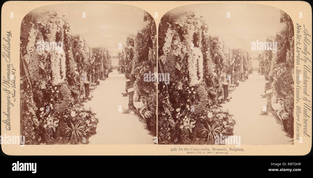 3 stereograph views hi-res stock photography and images - Alamy