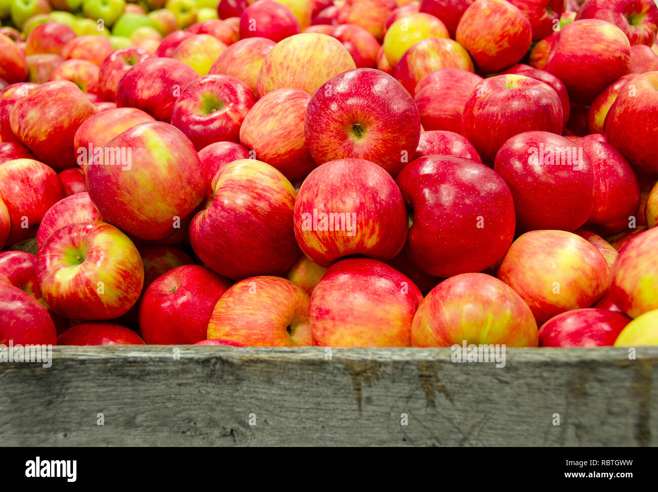 red and yellow Michigan apples in rustic wooden crate Stock Photo - Alamy