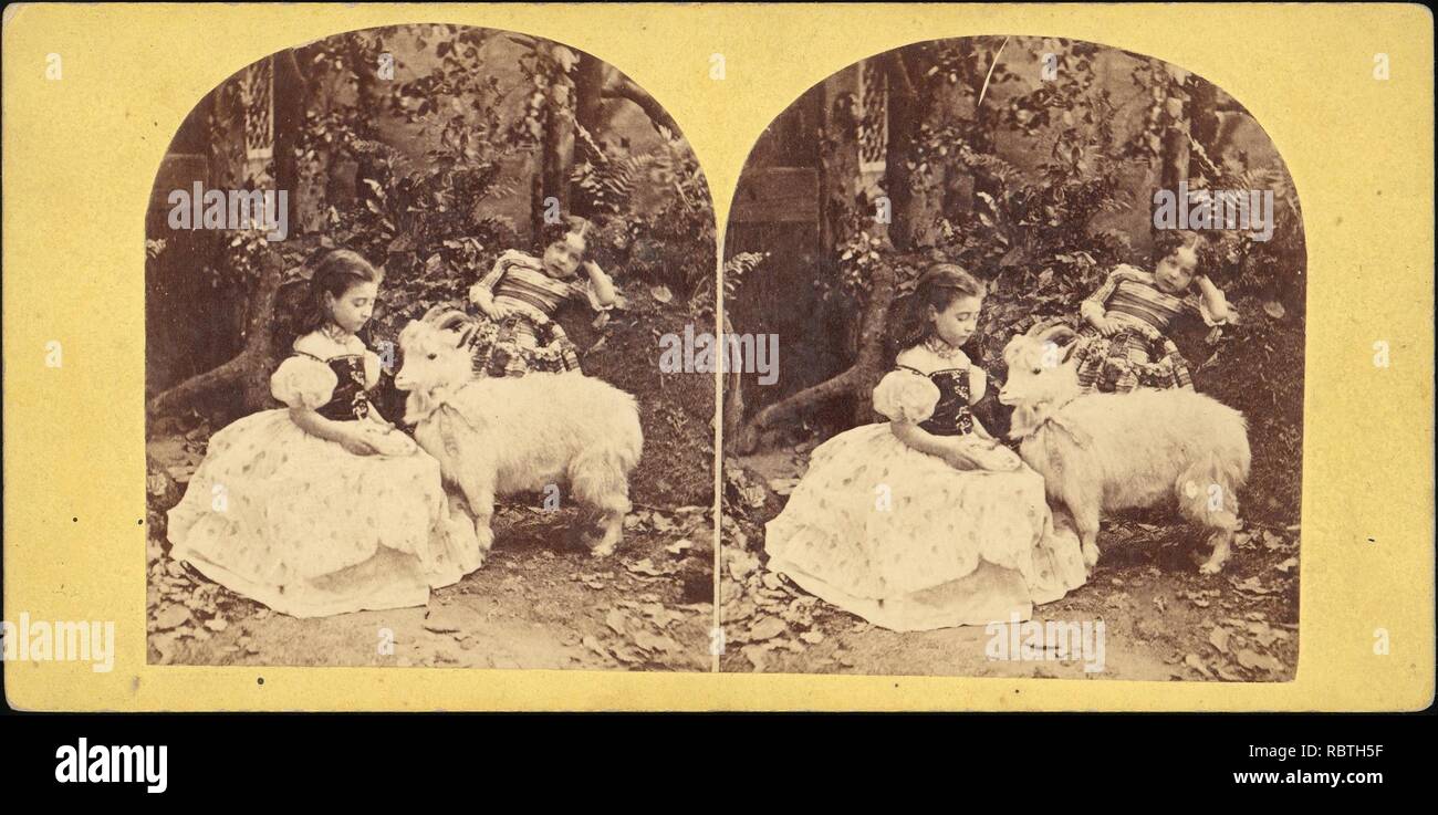 31 stereograph hi-res stock photography and images - Alamy