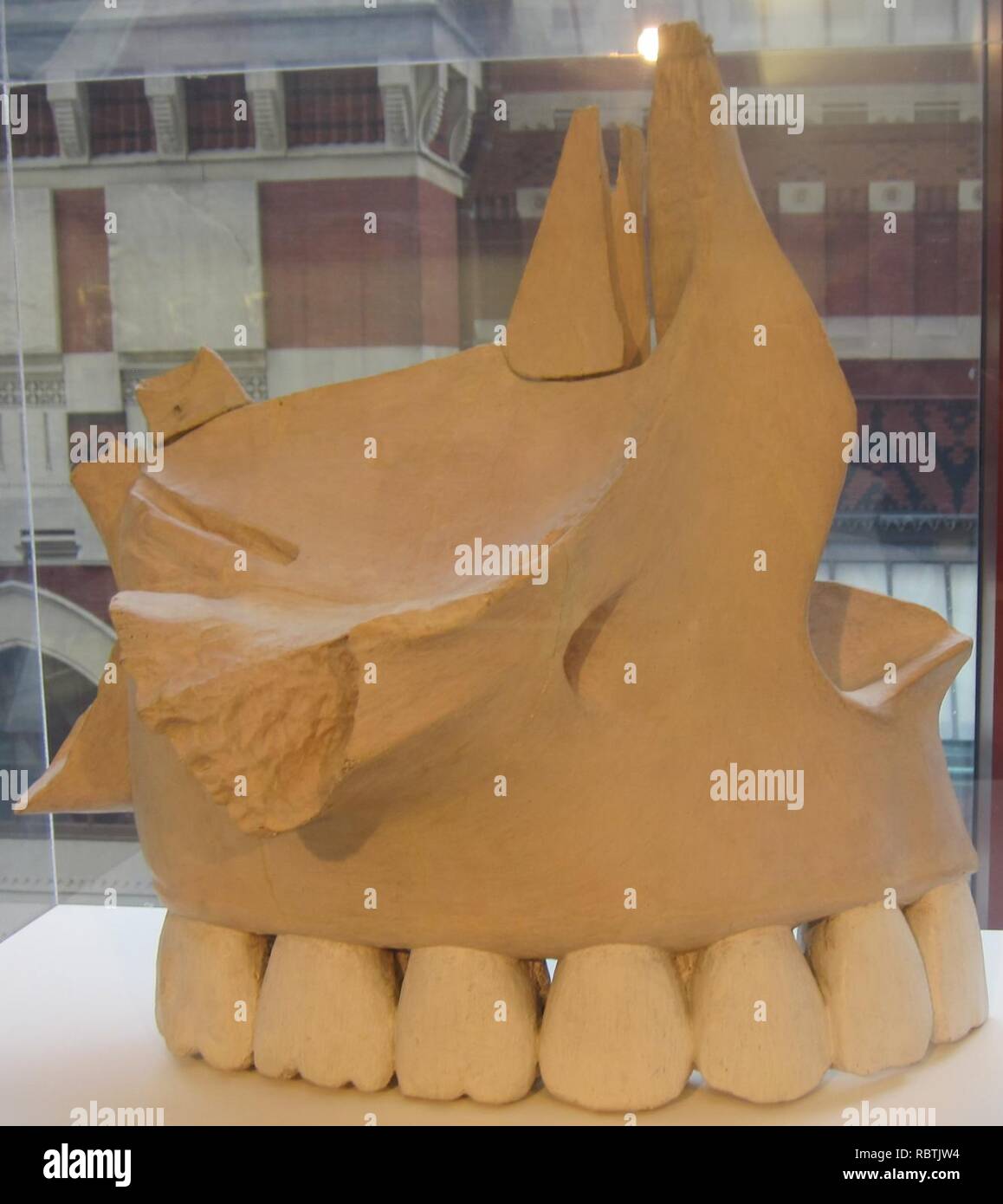 Maxilla model hi-res stock photography and images - Alamy