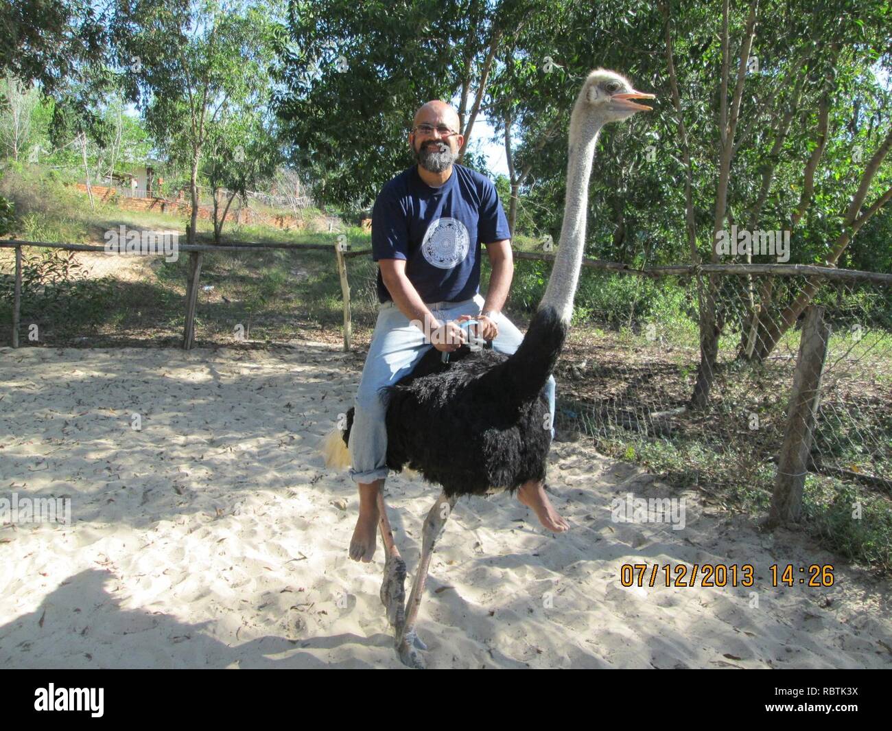 Ostrich riding hi-res stock photography and images - Alamy