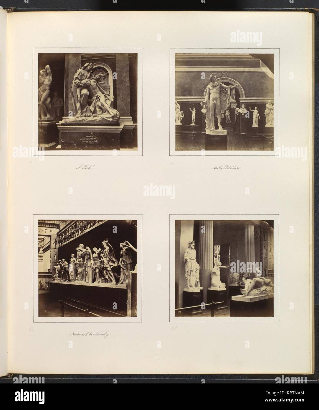 -Views in Greek Sculpture Gallery, Including A Pieta, Apollo Belvedere ...