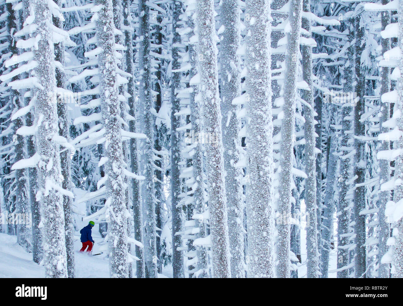 Nesselwang, Germany. 11th Jan, 2019. Skier and ski tour walker take the ...