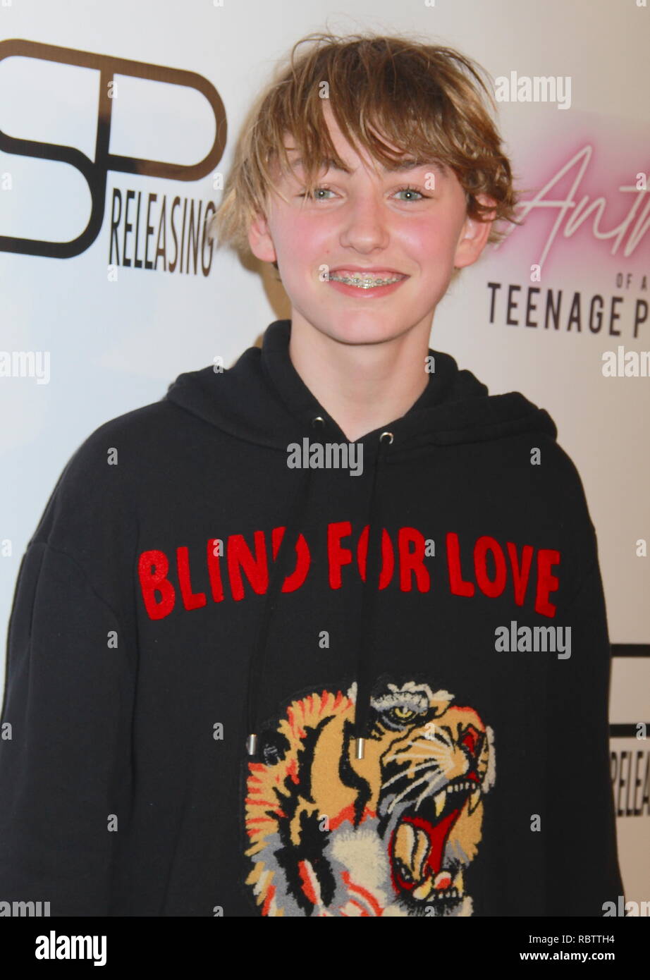 Hollywood, California, USA. 10th Jan, 2019. I16026CHW.''Anthem Of A ...