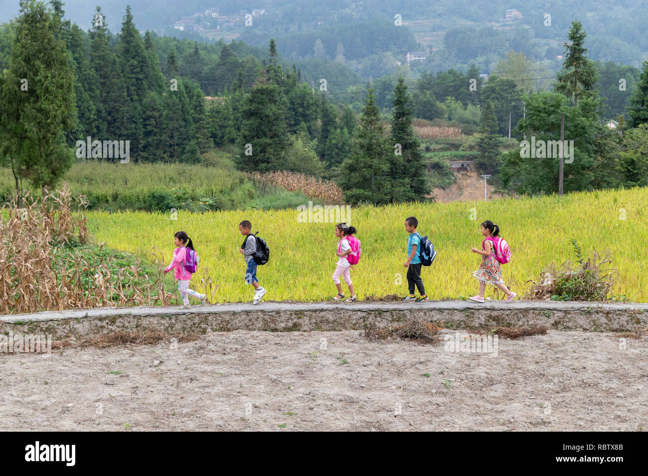 Chongqing, Chongqing, China. 12th Jan, 2019. Chongqing, CHINA-The ...