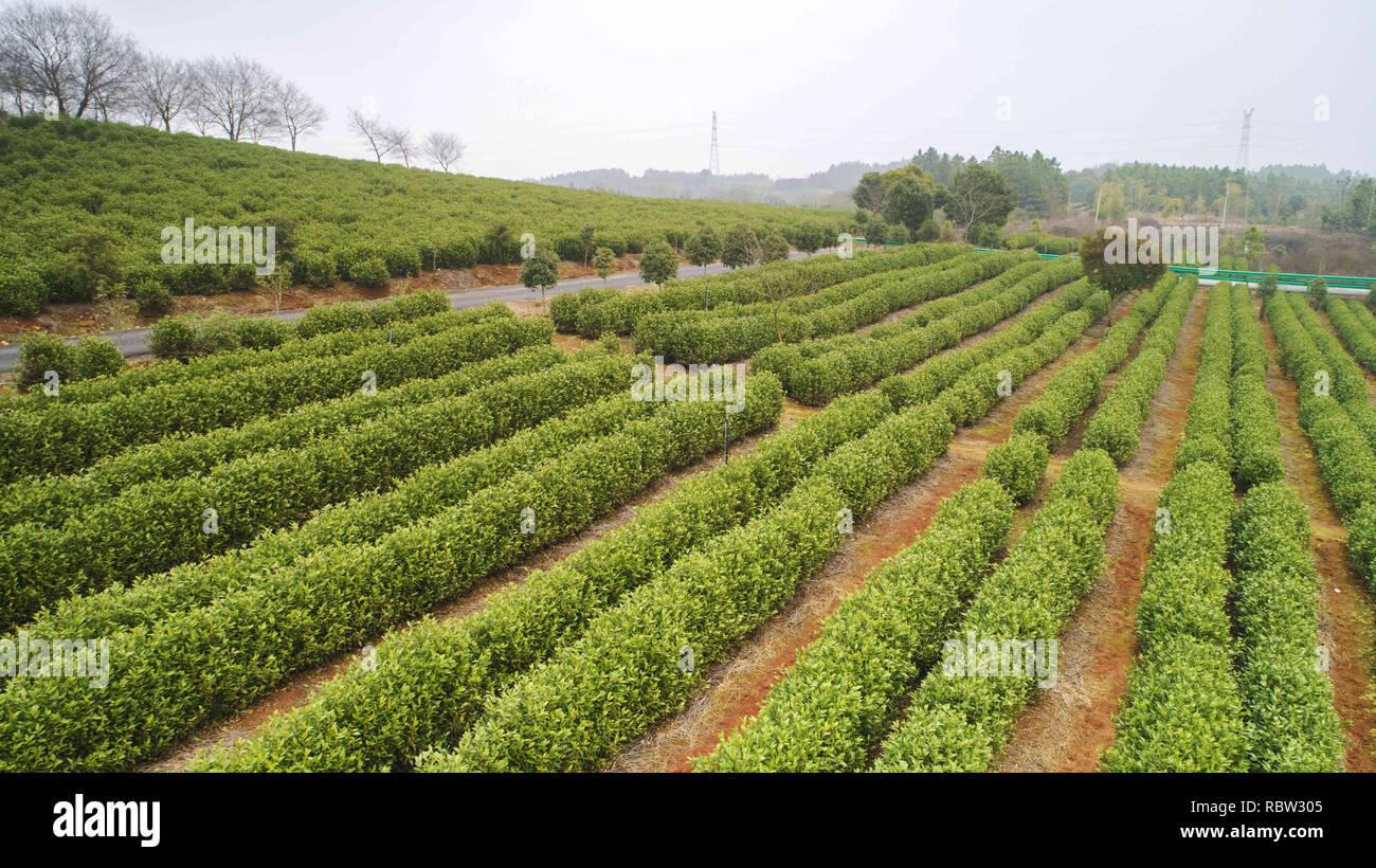 Anhui xuancheng xuancheng hi-res stock photography and images - Alamy