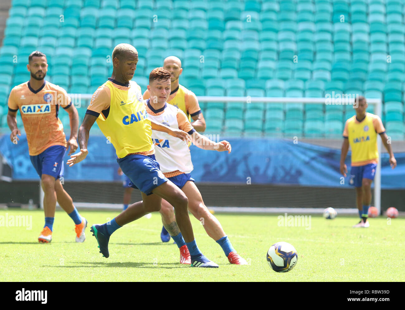 Salvador, Brazil. 12th Jan, 2019. Everson (Yellow) and Artur (Branco ...