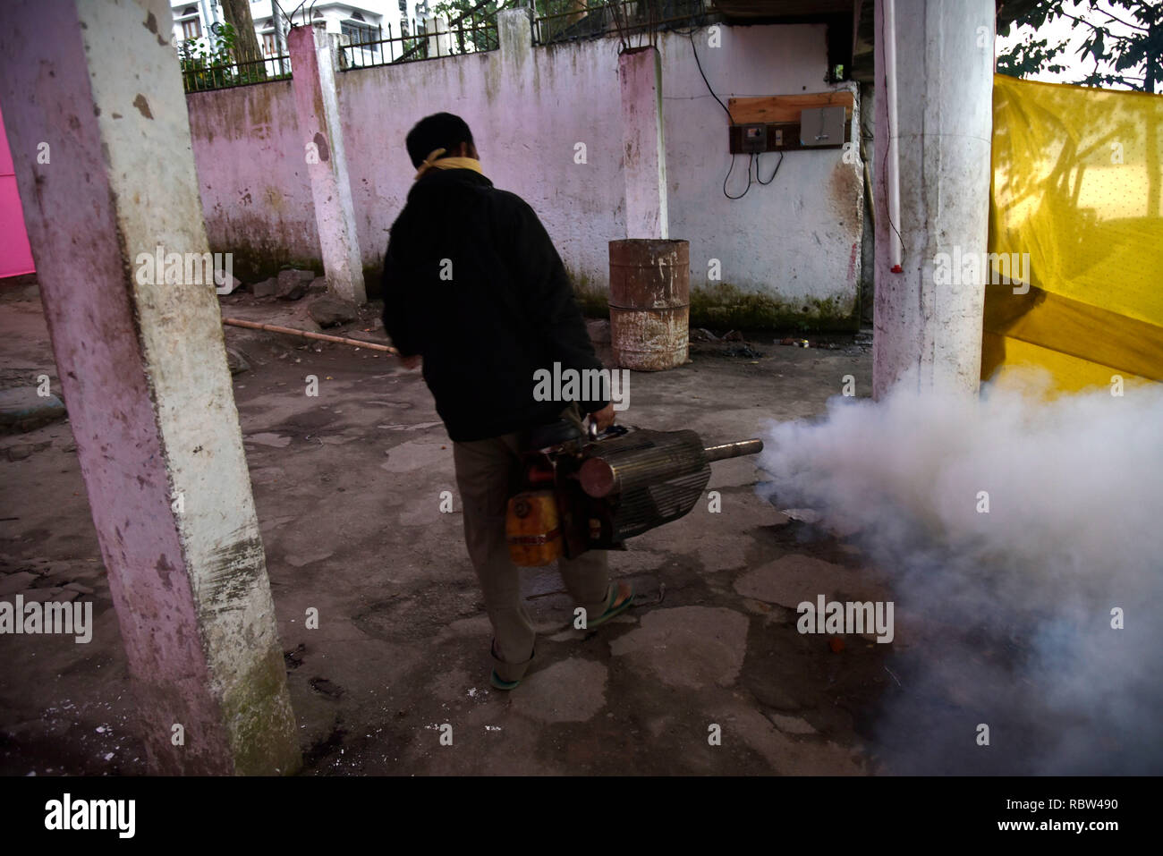 Guwahati Municipal Corporation (GMC) worker spray DDT to prevent of any ...