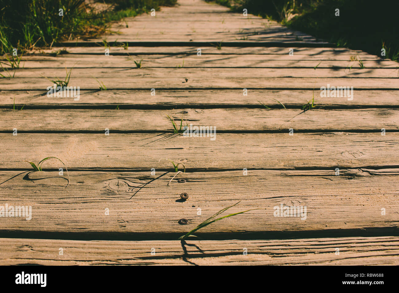 Wooden background. Wooden panels with beach sand and traces Stock Photo ...