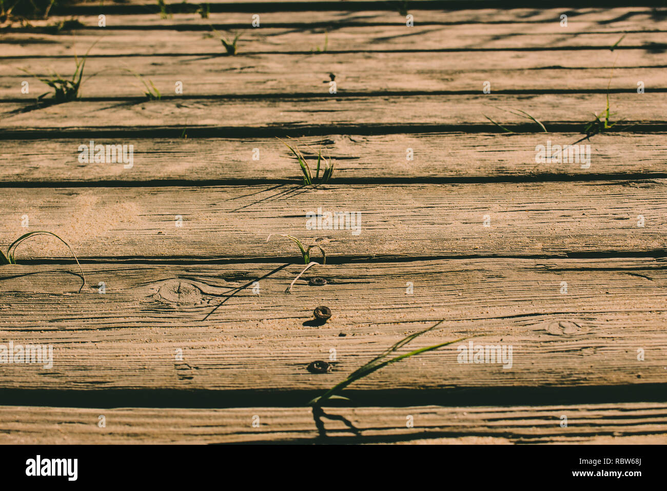 Wooden background. Wooden panels with beach sand and traces Stock Photo ...