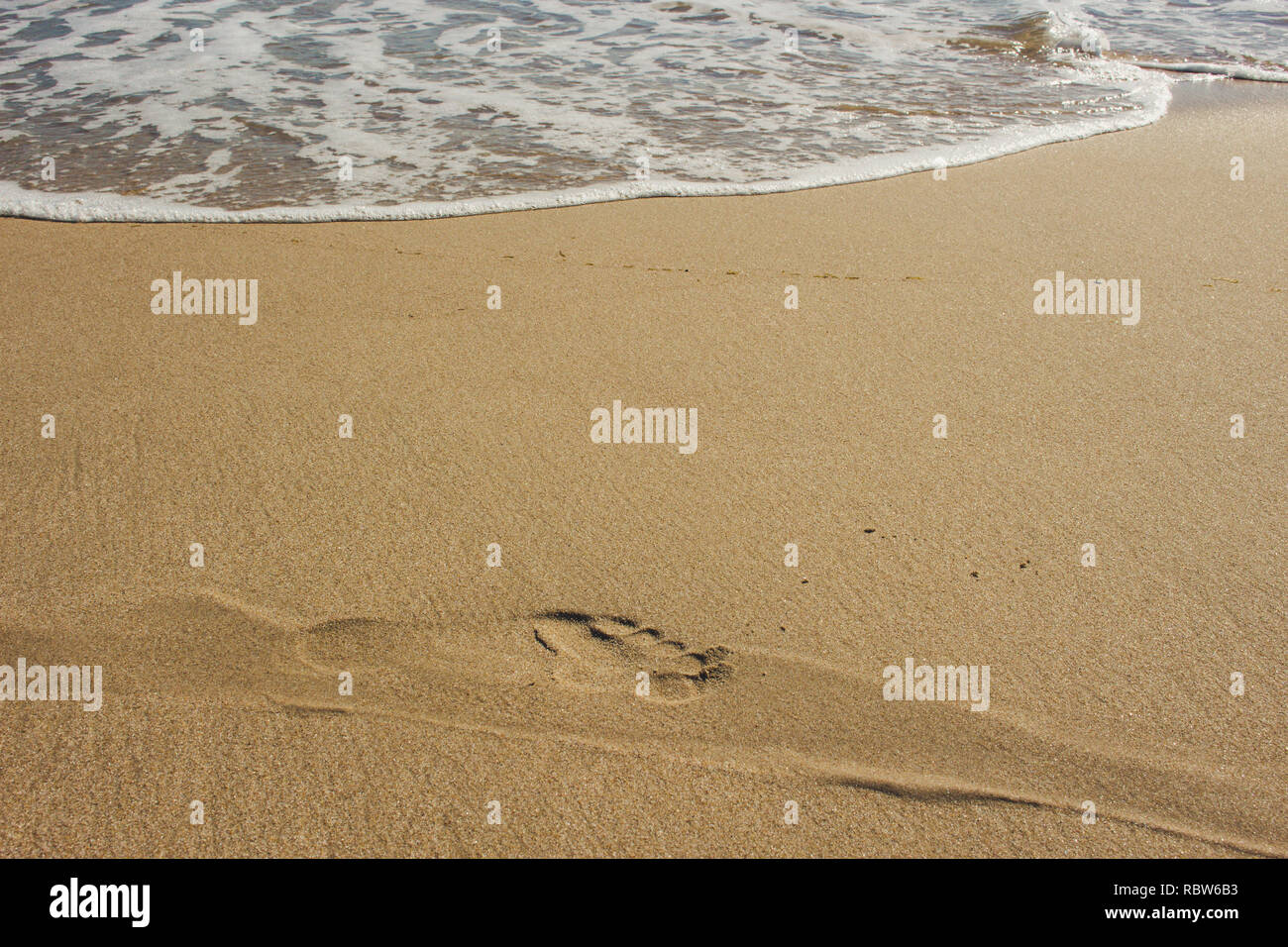 Footprint. Footprint and waves of the Atlantic Ocean on the beach Stock ...