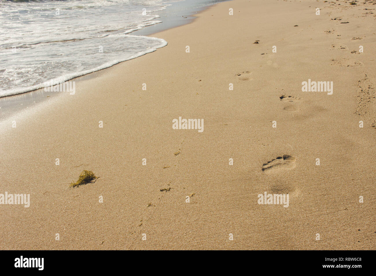 Footprint. Footprint and waves of the Atlantic Ocean on the beach Stock ...