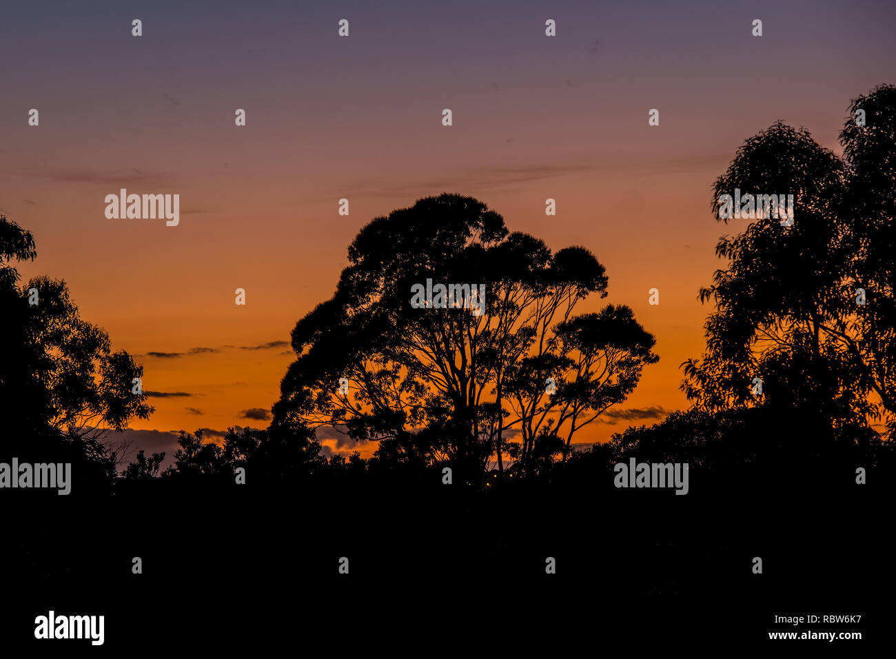 Sunrise clouds and trees hi-res stock photography and images - Alamy