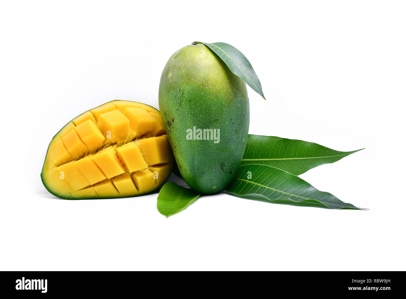 Fresh mango photos in a white studio background Stock Photo - Alamy