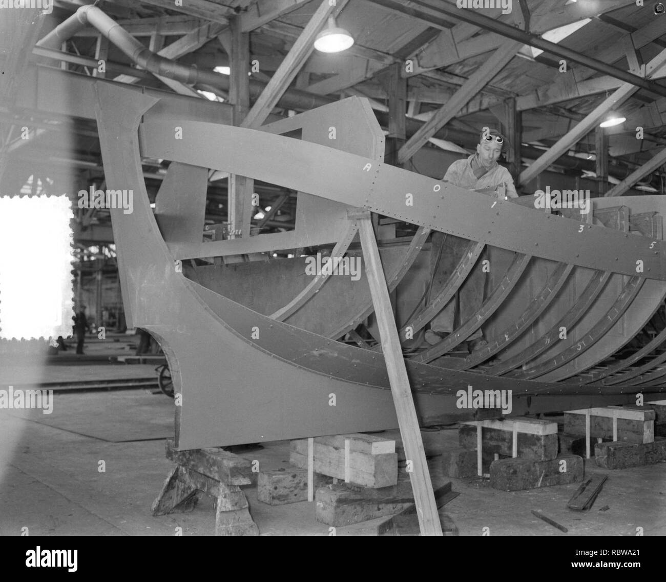 Groene draeck beatrix hi-res stock photography and images - Alamy