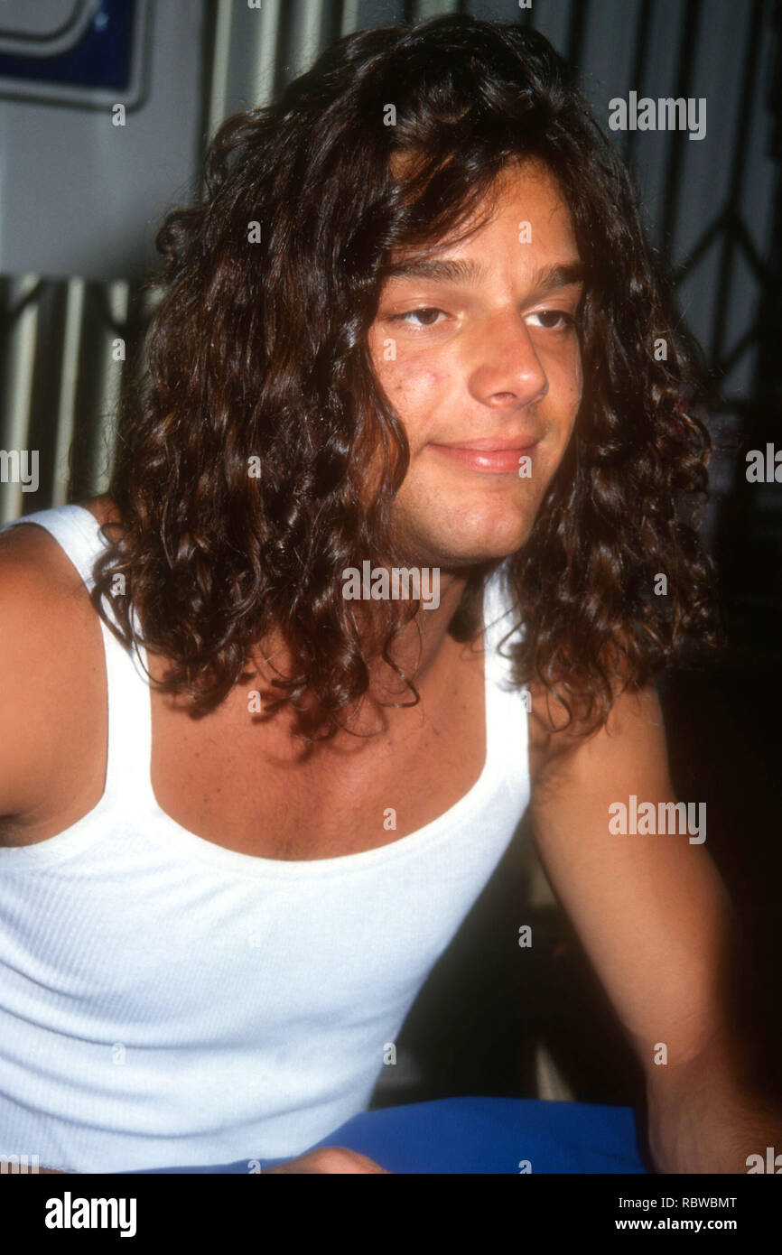 LOS ANGELES, CA - AUGUST 17: Singer Ricky Martin attends in store ...