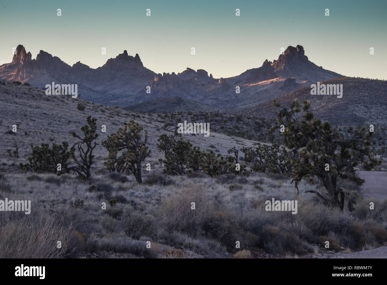 Castle Peak, near Castle Mountains National Monument, Mojave National ...