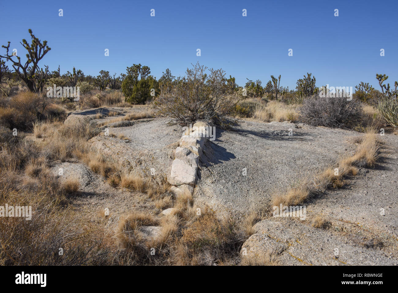 Geology, rock fin extrusion, granite Stock Photo - Alamy