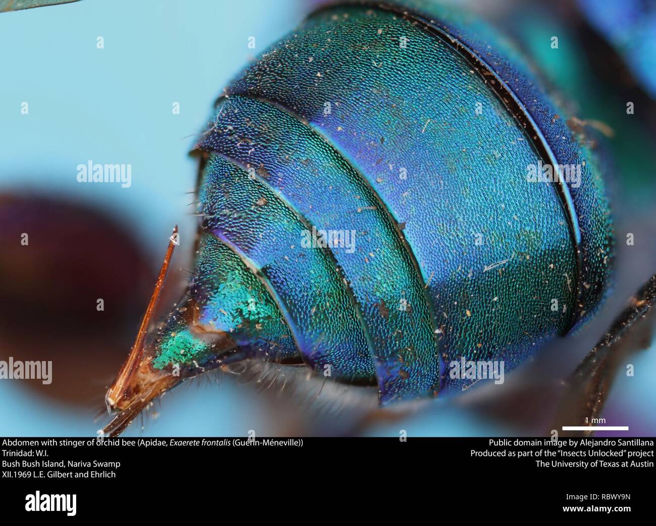 L e gilbert hi-res stock photography and images - Alamy