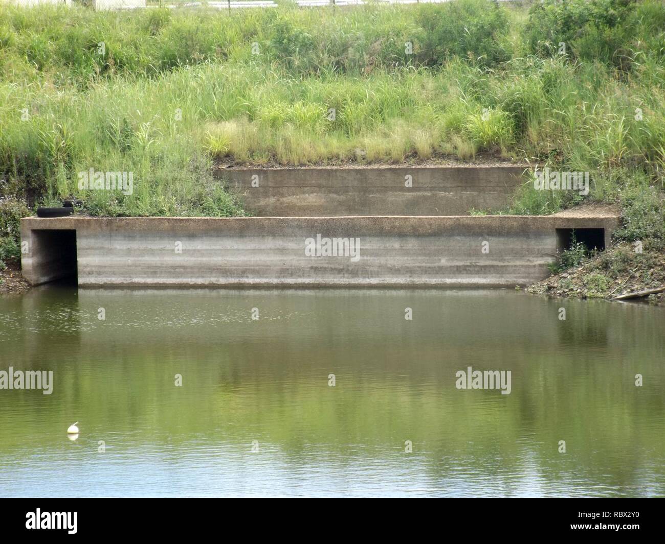 Acacia ridge hi-res stock photography and images - Alamy