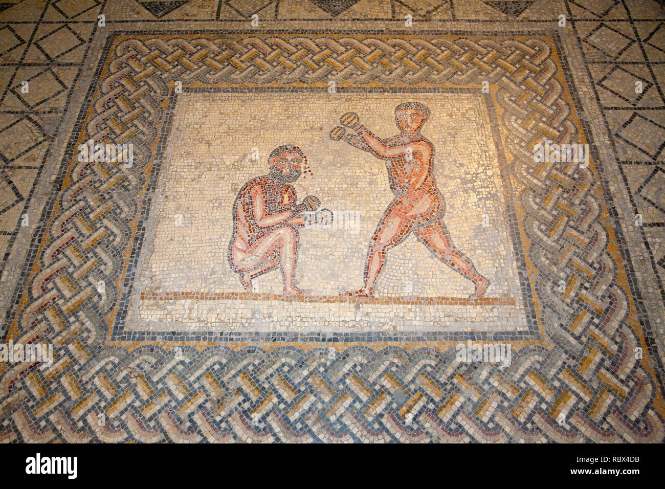 Mosaic of boxers, Bardo National Museum, Tunis, Tunisia, Africa Stock ...