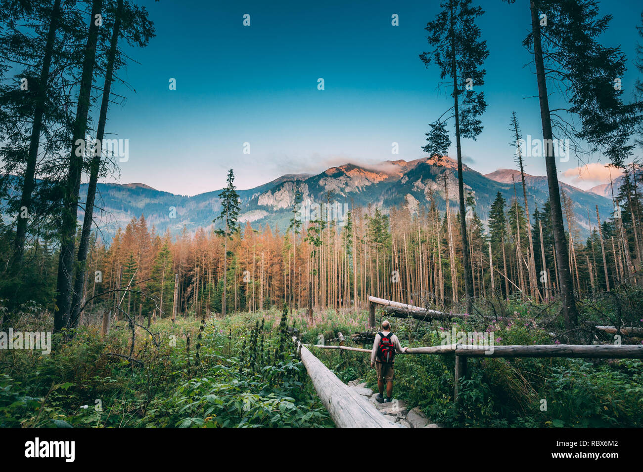 Tatra National Park, Poland - August 29, 2018: Tourists People Walking ...