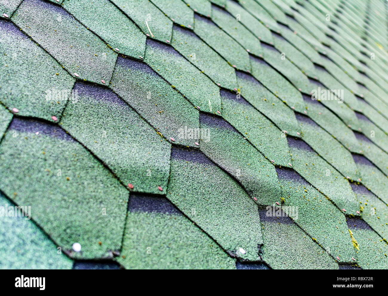 Fragment of green shingle tile texture roof for background. Closeup ...