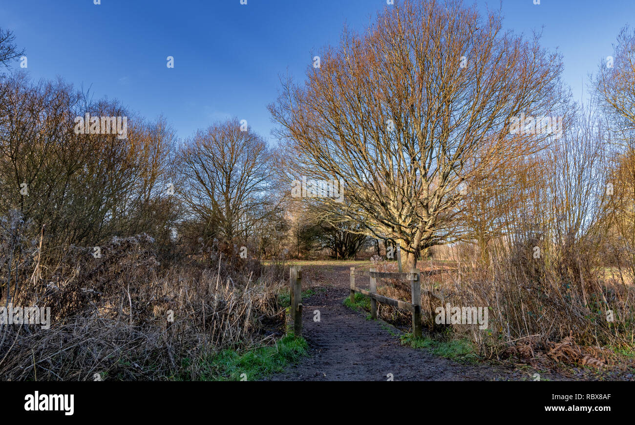 Reflections on Ditchling Common Stock Photo - Alamy